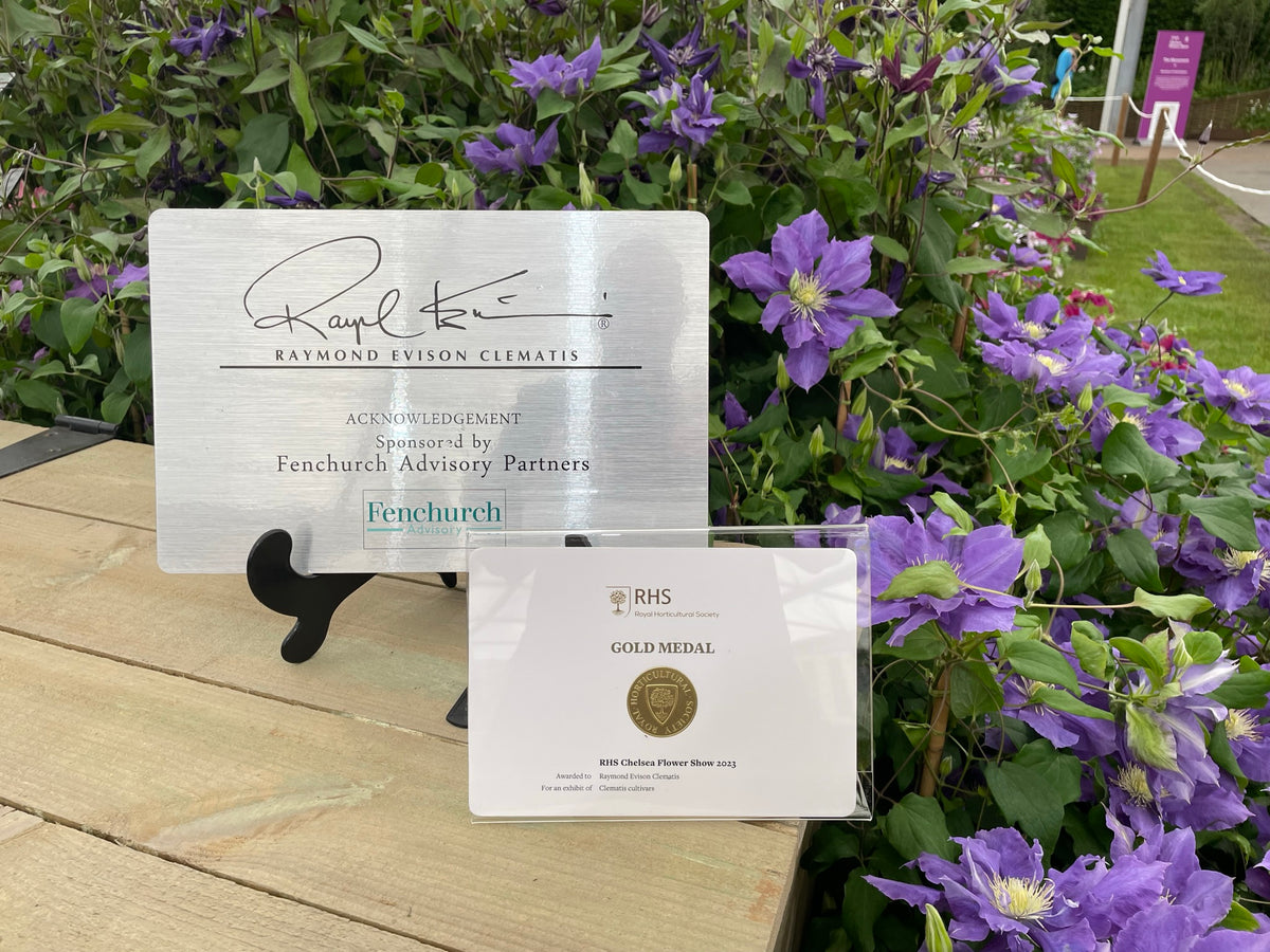 Raymond Evison Clematis 2024 Chelsea Flower Show Sponsorship Confirmat
