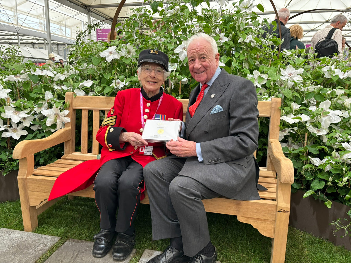 Chelsea Gold makes it our 34th Gold Medal. – Raymond Evison Clematis